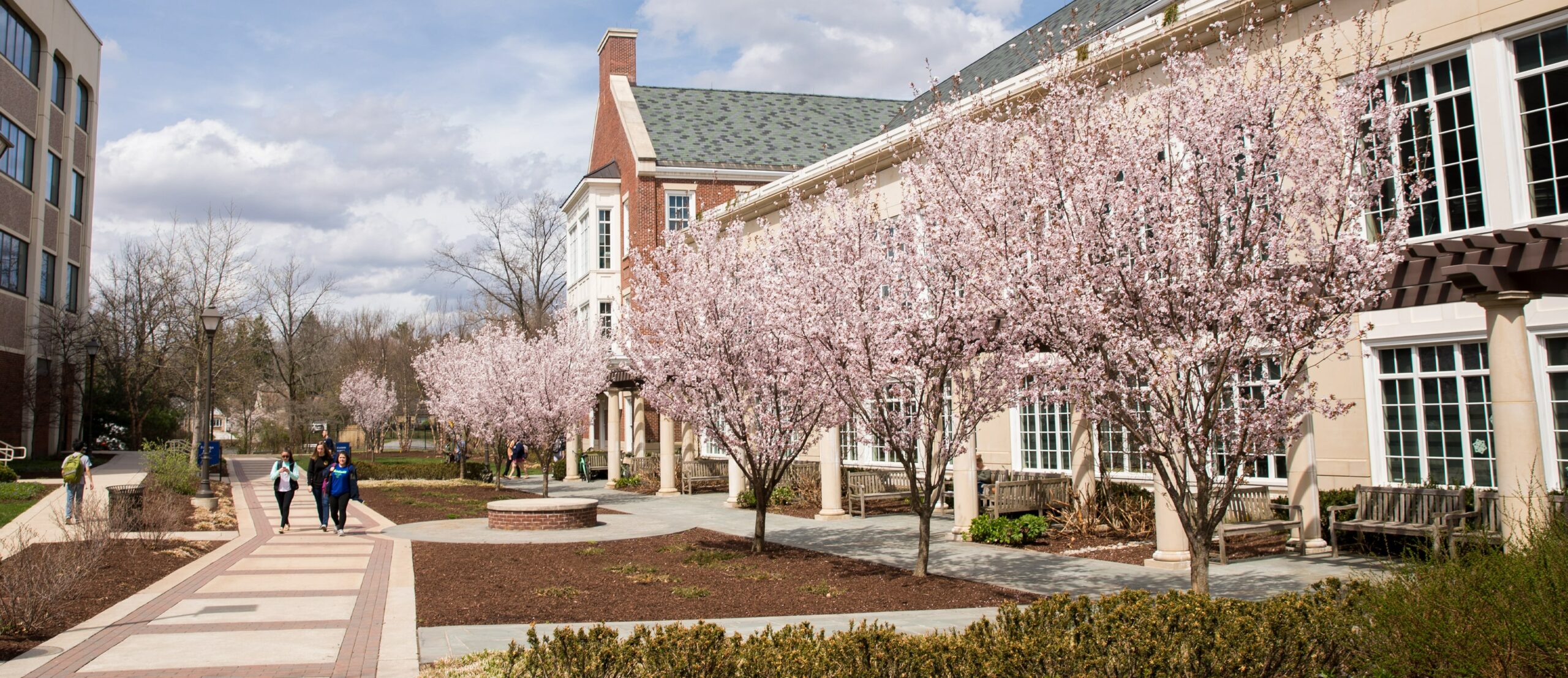 Lions Day Open Houses | Undergraduate Admissions